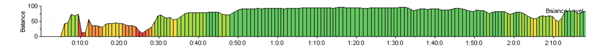 New, Easy to Use, Balance Graph For Stone Biofeedback | The Biofeedback ...